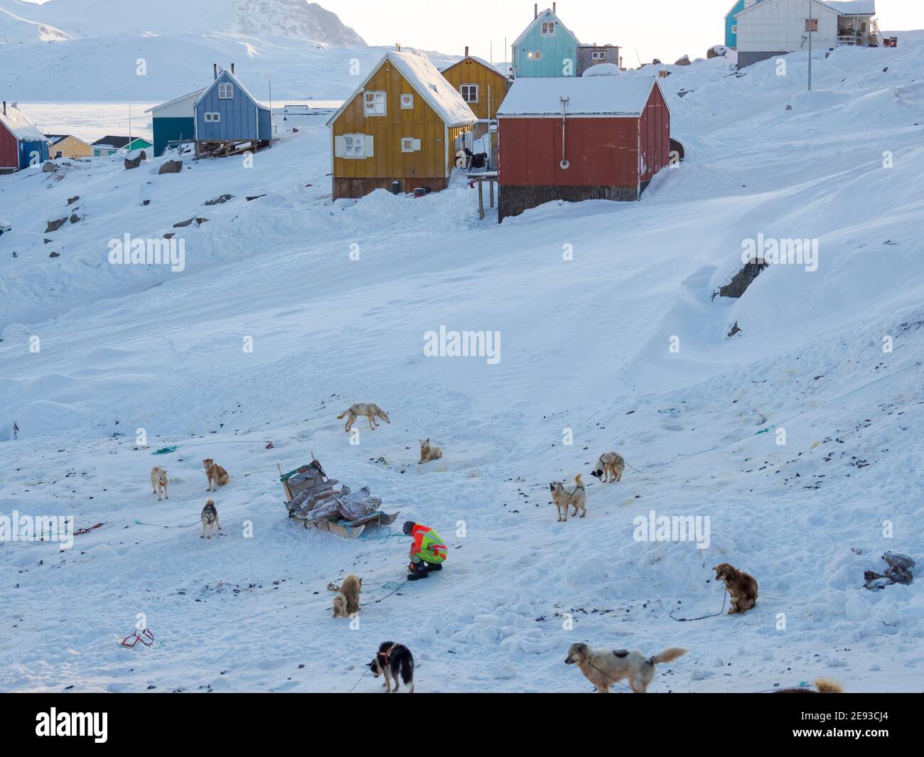 Inuit hunt seals hi-res stock photography and images - Alamy
