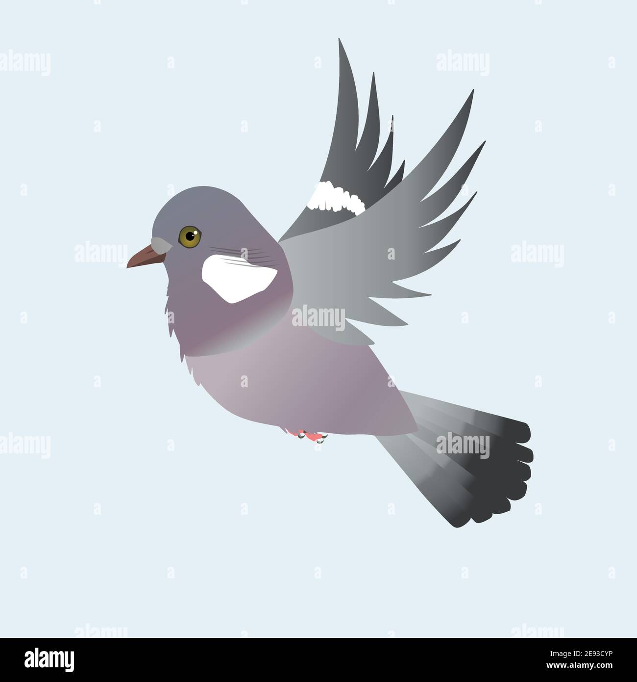 Common blue in flight Stock Vector Images - Alamy