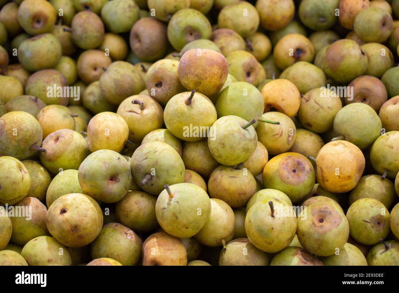 Fresh greenpears hi-res stock photography and images - Alamy