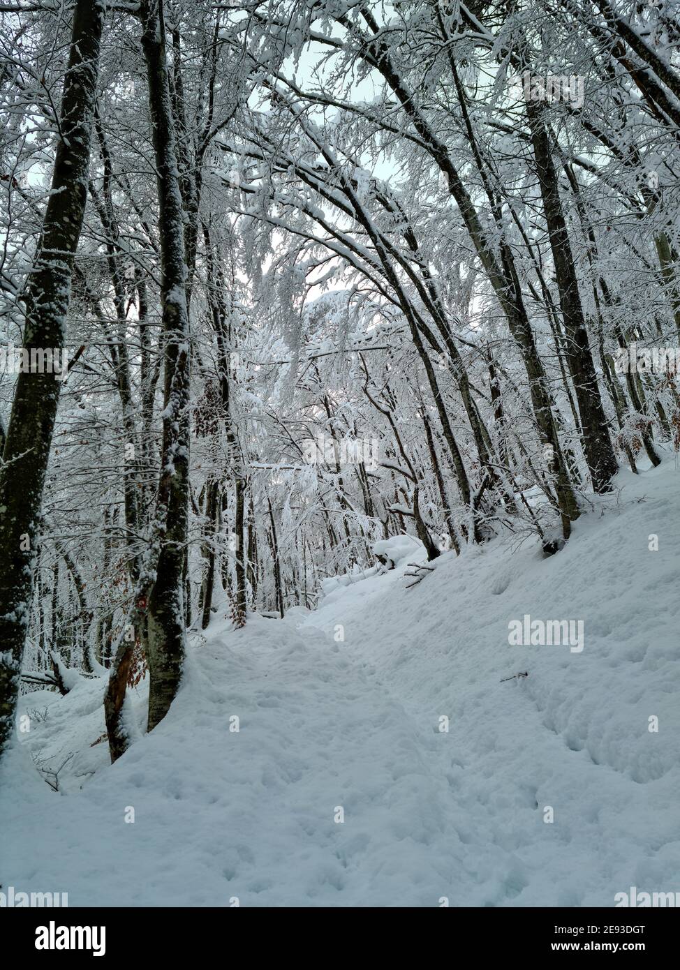 Mountain path covered in snow Stock Photo - Alamy