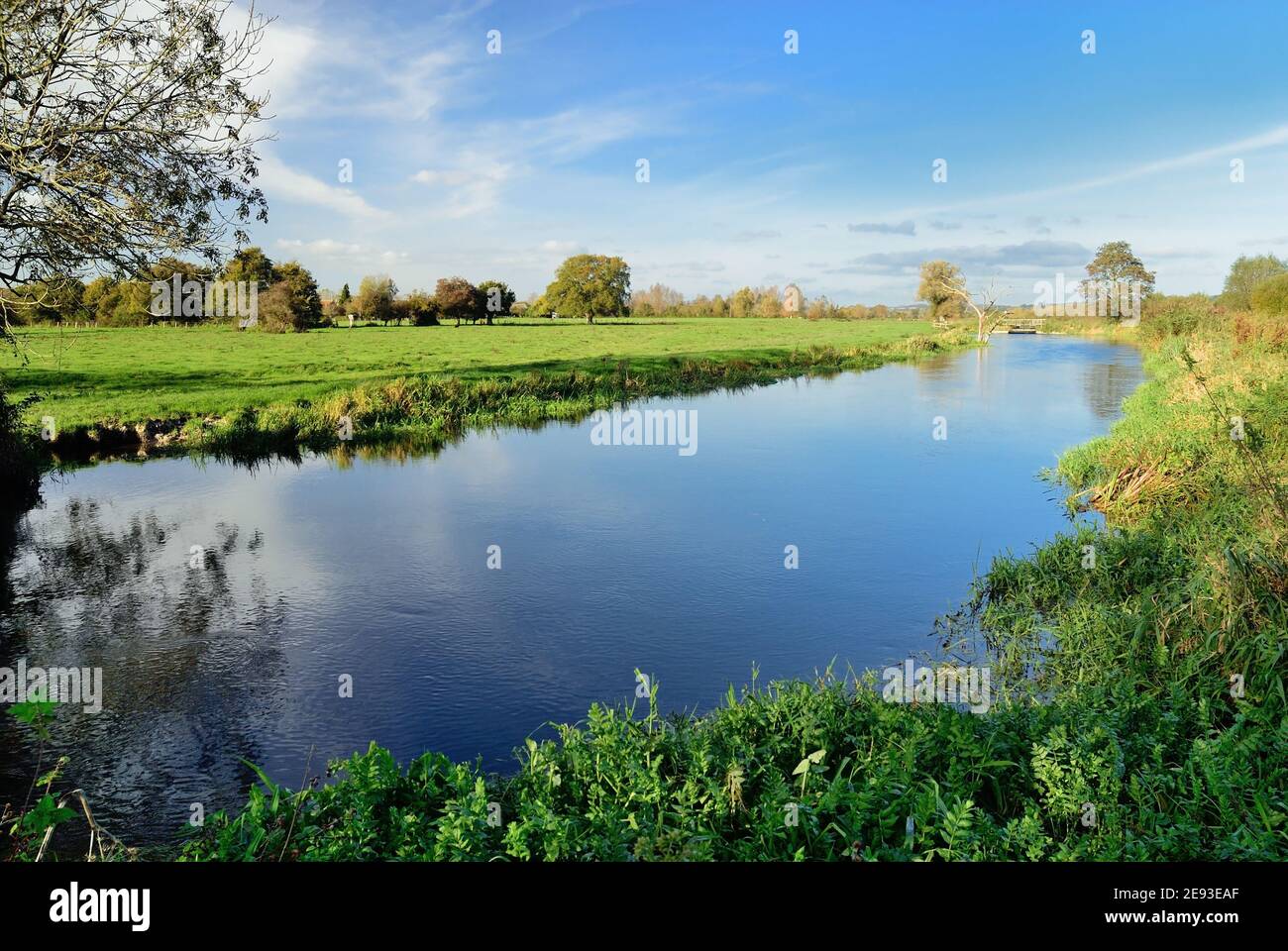 Trafalgar park wiltshire hi-res stock photography and images - Alamy