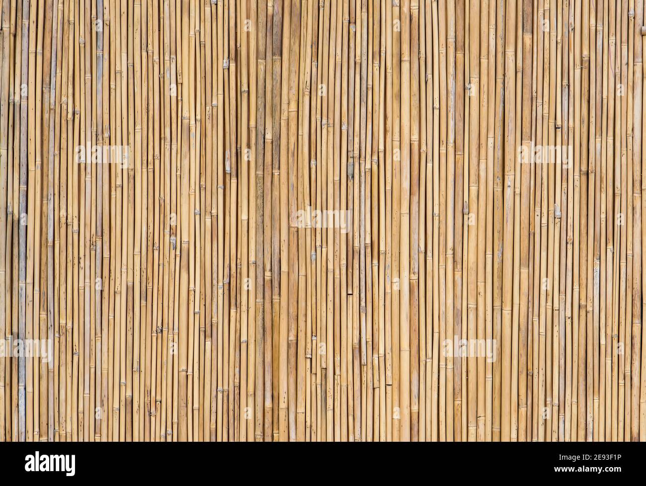 fence made of bamboo sticks Stock Photo - Alamy