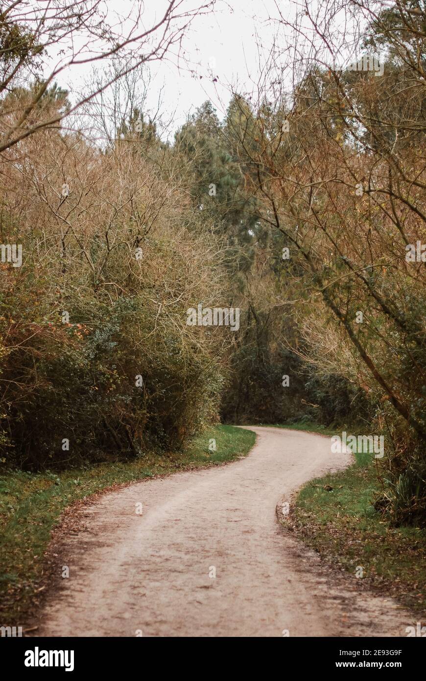 Autumn scene of a path through the forest that ends at a beach on ...