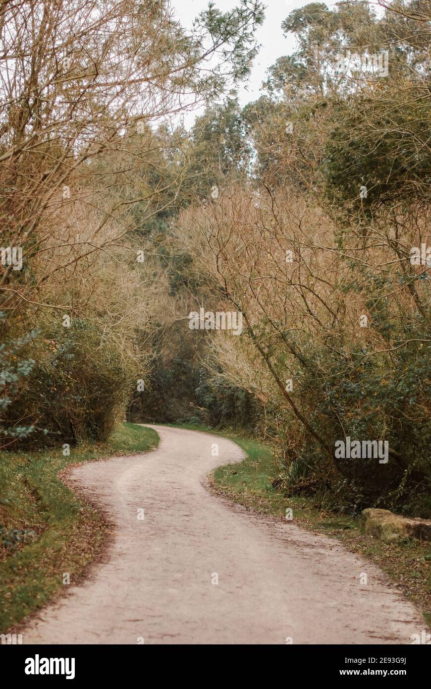 Autumn scene of a path through nature that ends at a beach on cliffs ...