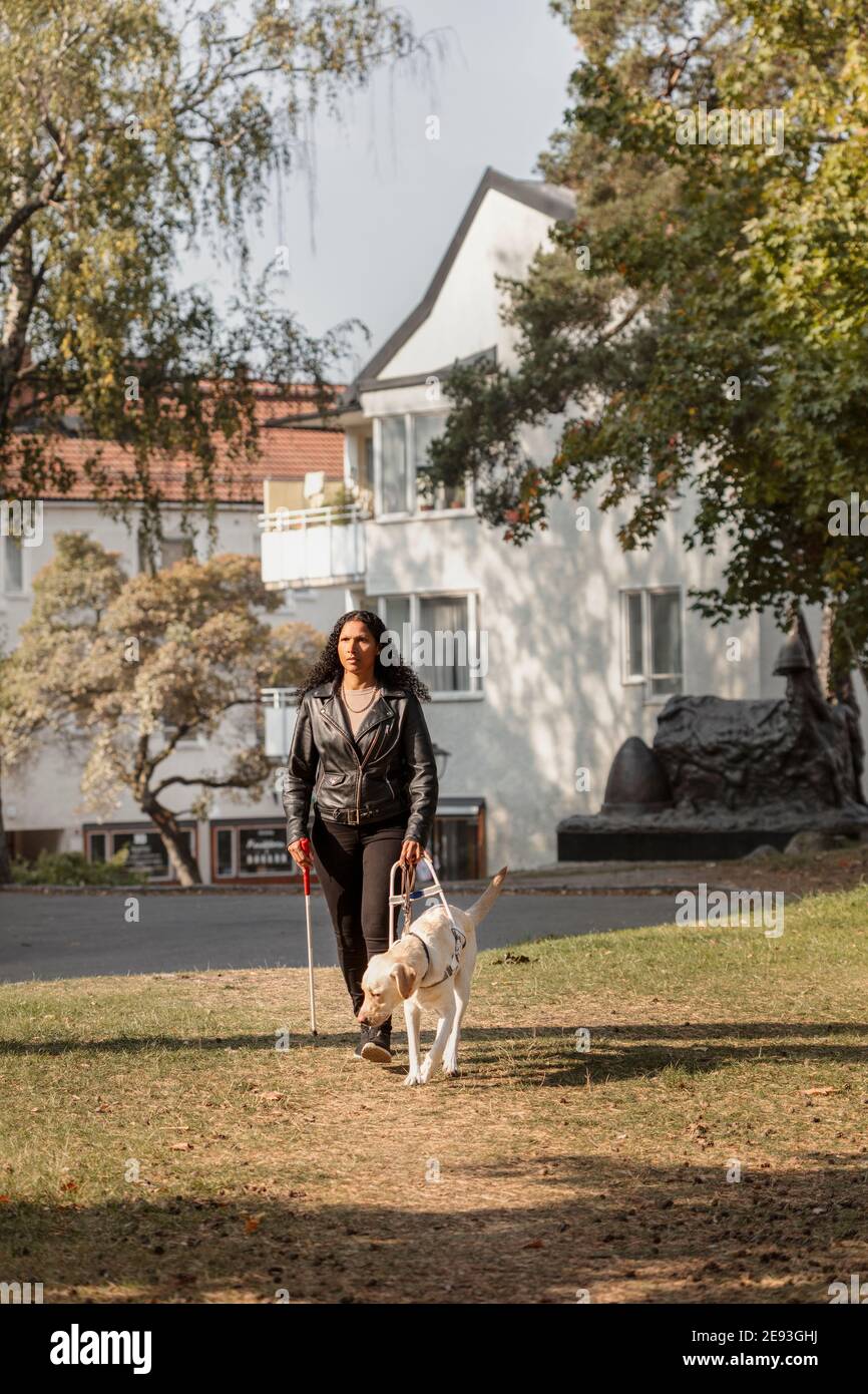Visually impaired woman walking on lawn with guide dog Stock Photo - Alamy