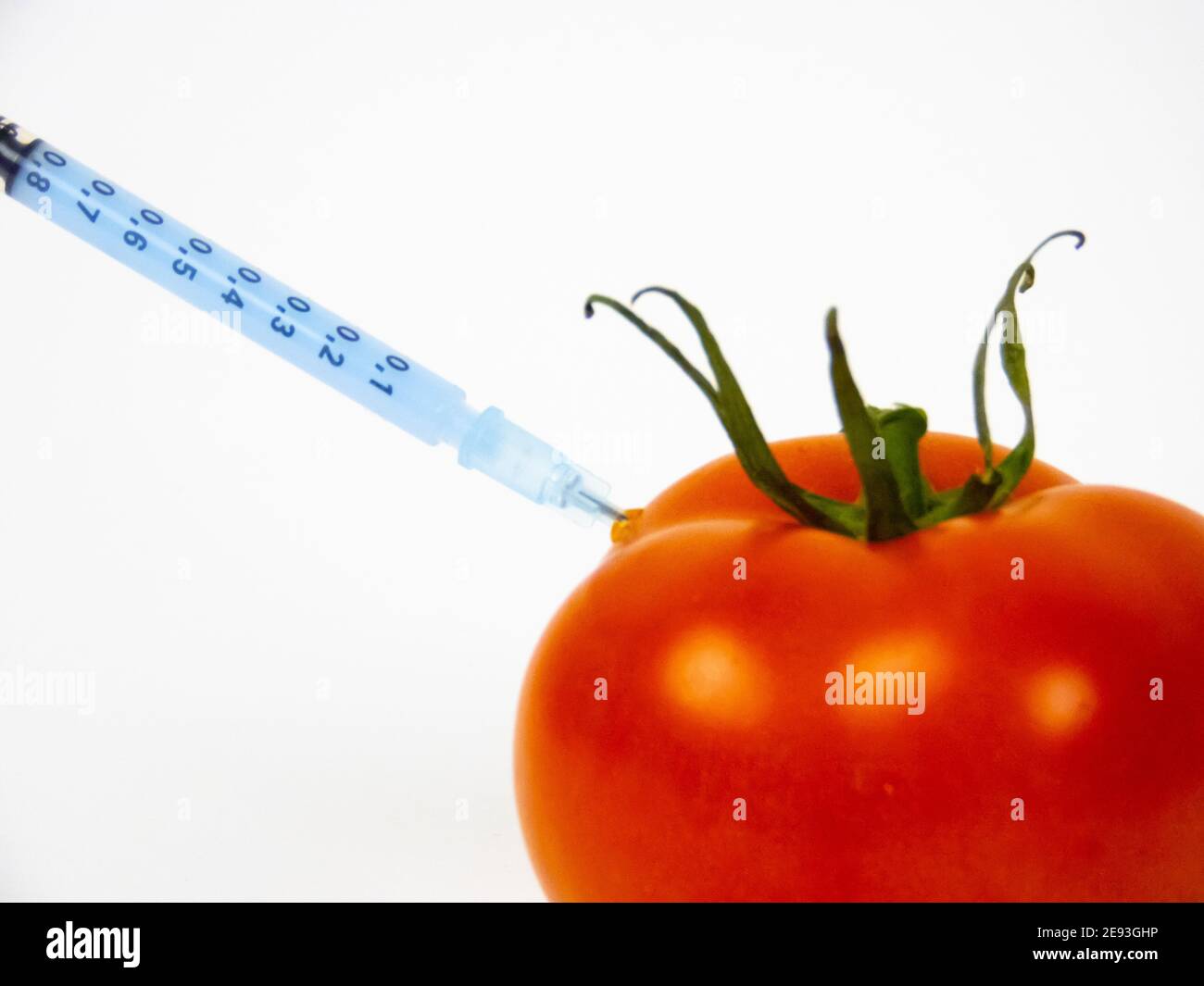 Tomato and syriGenetic modification of vegetable Stock Photo - Alamy
