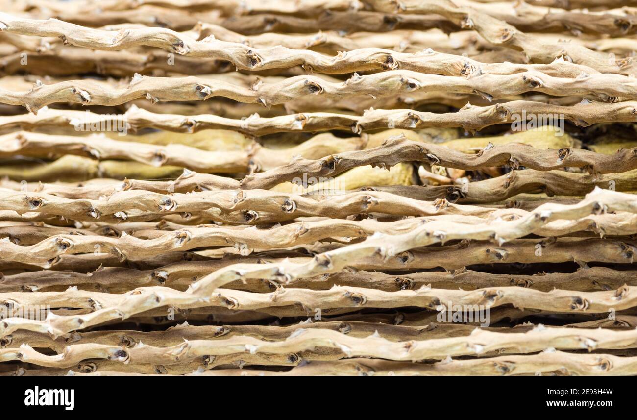 Closeup of vegetable fibers from the palm bunch Stock Photo - Alamy