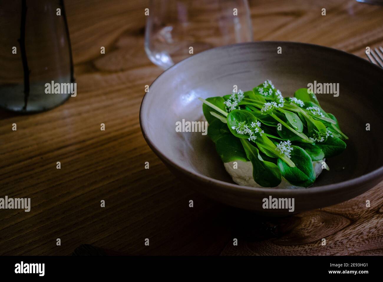 Dish of cottage cheese and garden greens with flowers made at a ...