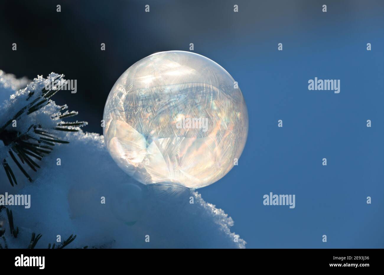 Frozen soap bubble on a branch hi-res stock photography and images - Alamy