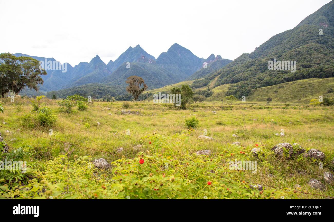 Landscape in southern Brazil Stock Photo - Alamy