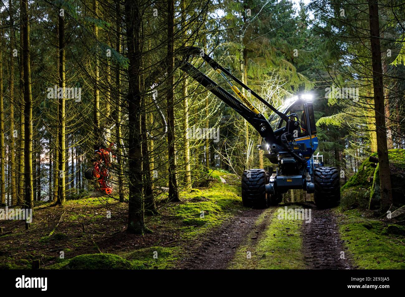 Feller buncher hi-res stock photography and images - Alamy
