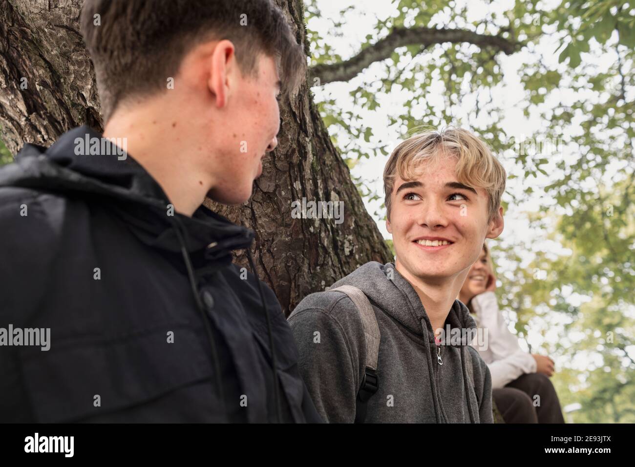Smiling teenage boys talking together Stock Photo - Alamy