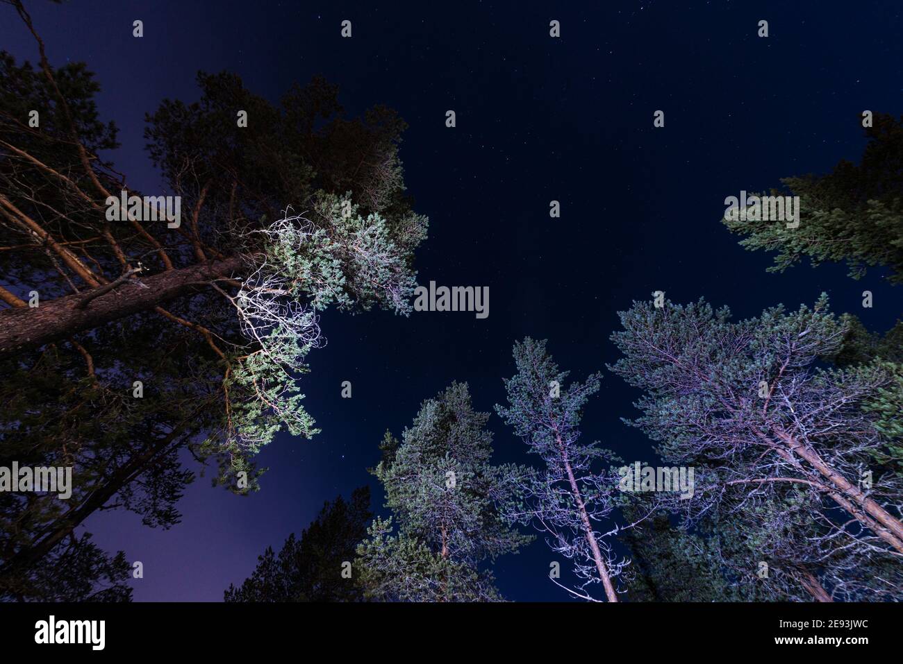 Sky tree night view hi-res stock photography and images - Alamy