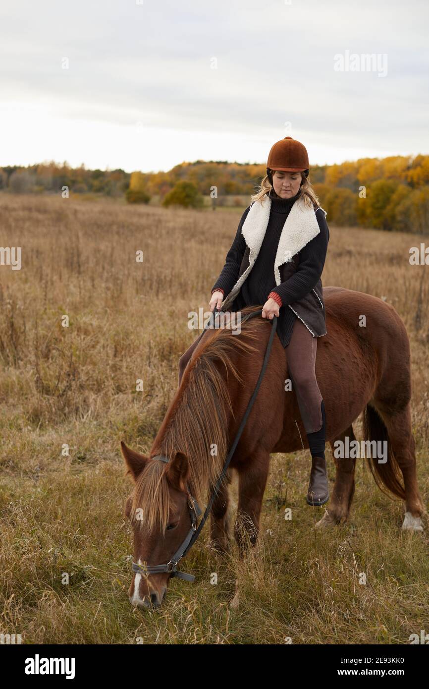 Girl riding horse in farm Stock Photo - Alamy