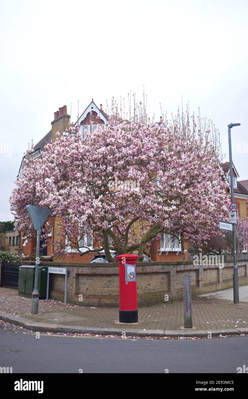Spring in London Stock Photo - Alamy