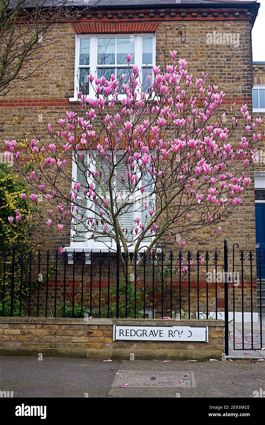 Spring in London Stock Photo - Alamy