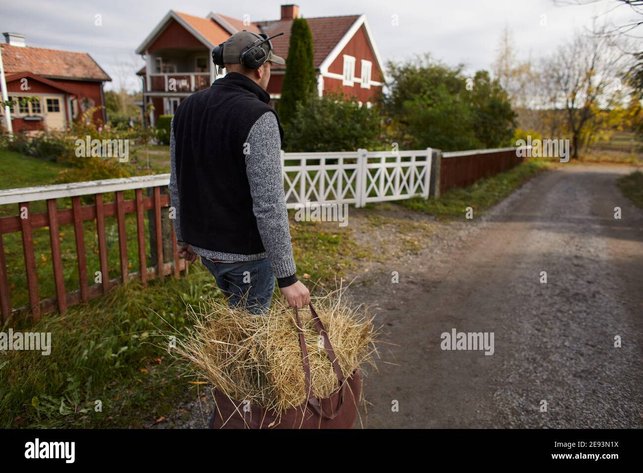Farmer carrying straw for feeding animals Stock Photo - Alamy