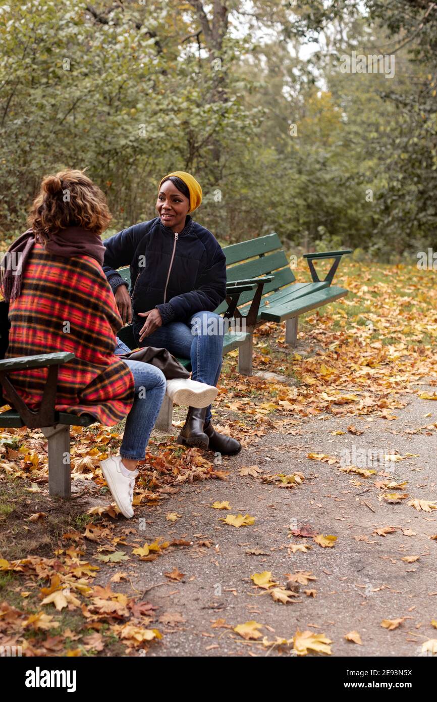 Female friends talking on bench in park Stock Photo - Alamy