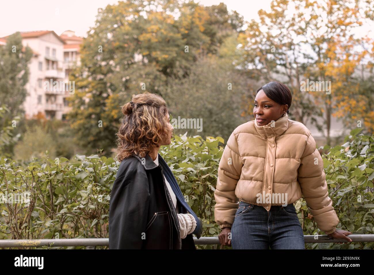 Female friends talking together Stock Photo - Alamy