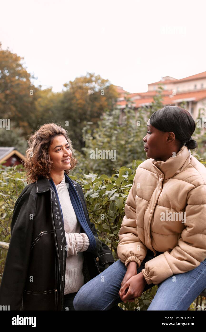 Female friends talking together Stock Photo - Alamy