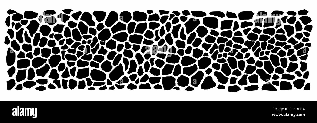 Snake skin print Black and White Stock Photos & Images - Alamy