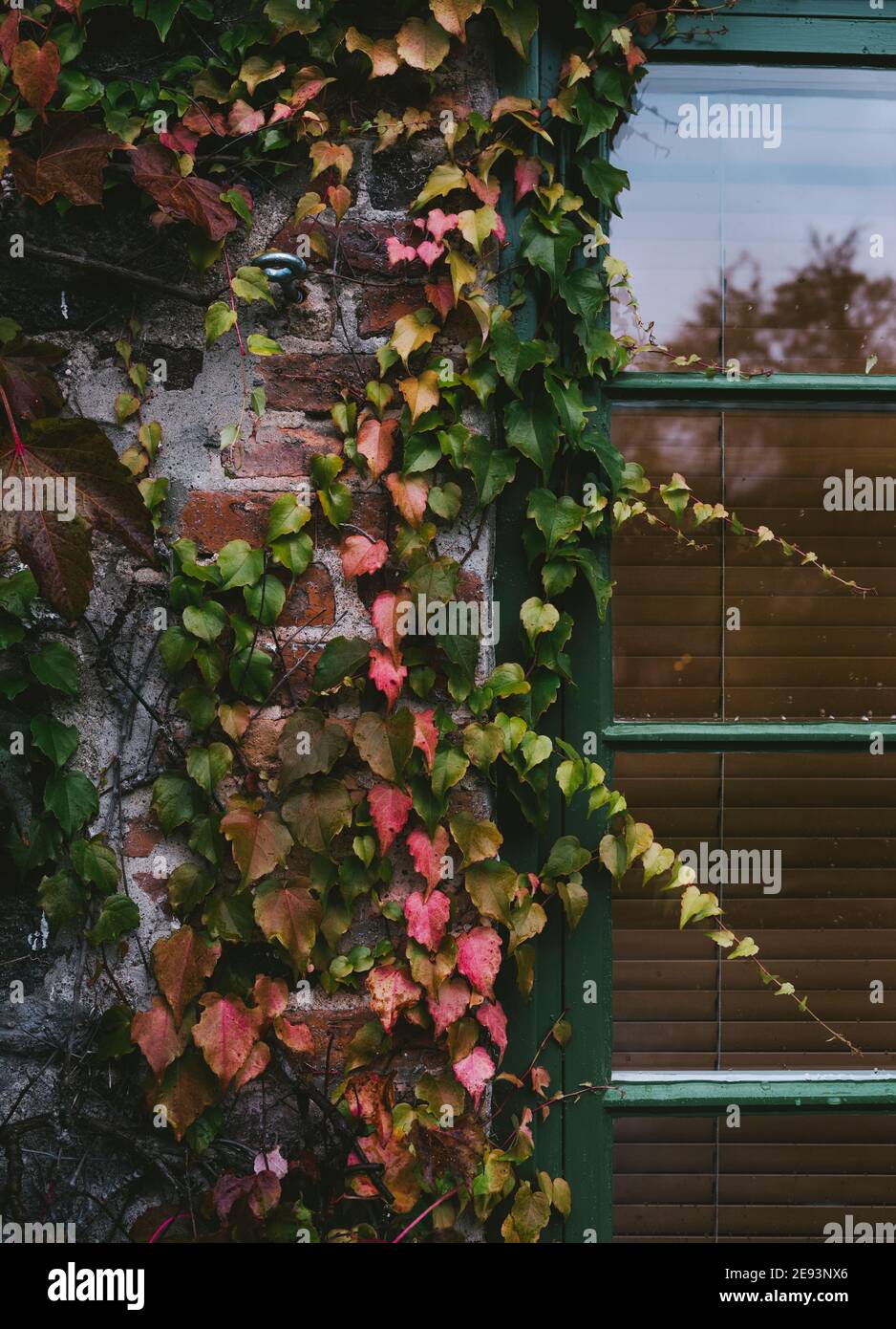 Facing brick wall hi-res stock photography and images - Alamy