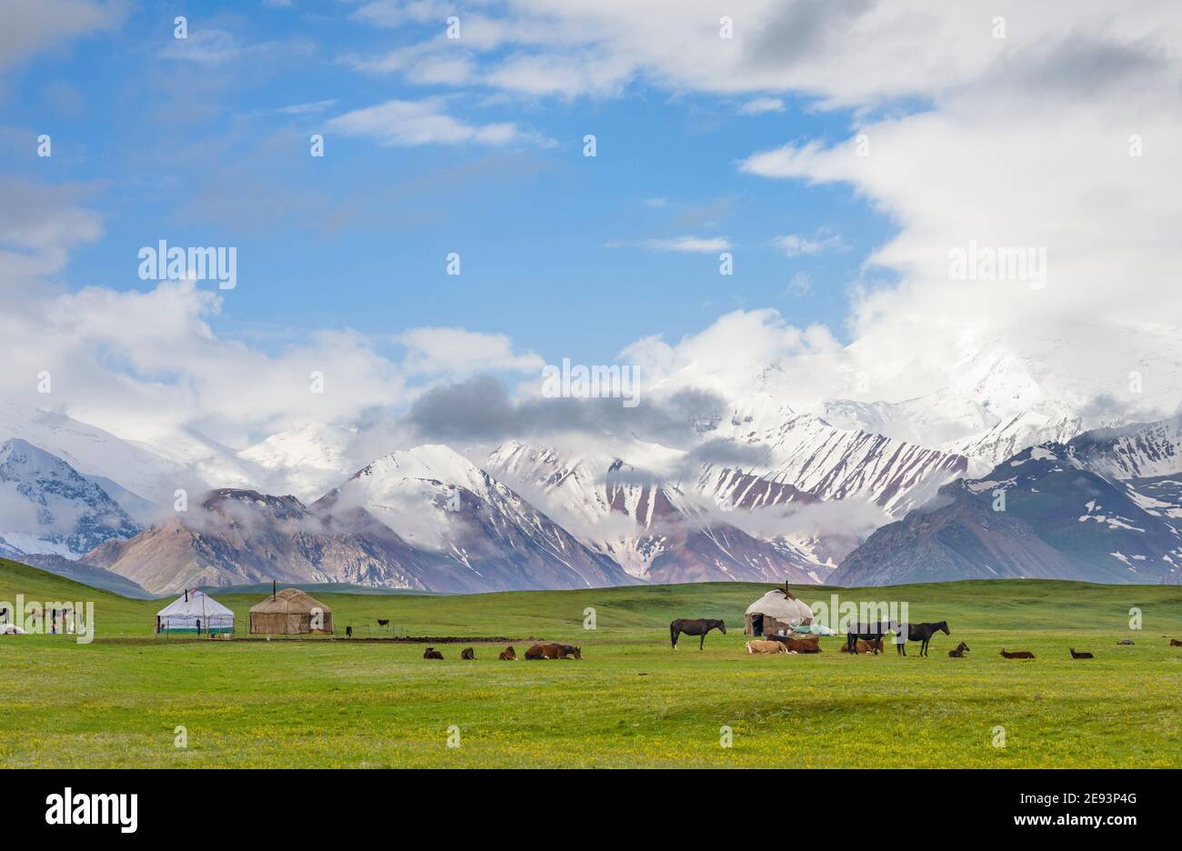Traditional yurt the Transalai mountains in the background. Alaj valley ...