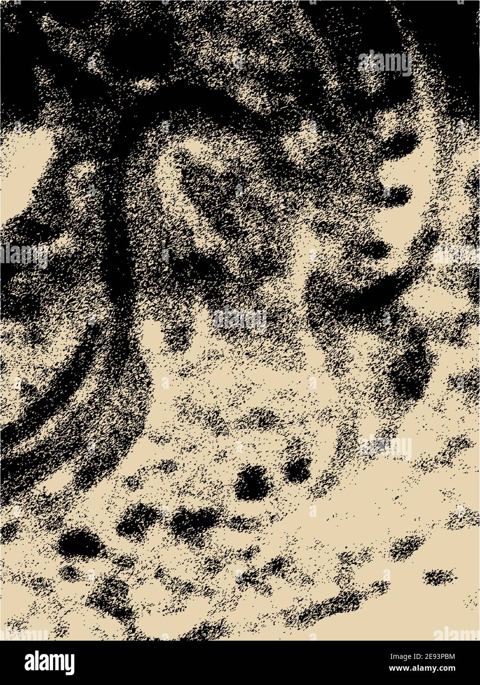 abstract vector ink drawing, graphite strokes on a white background ...