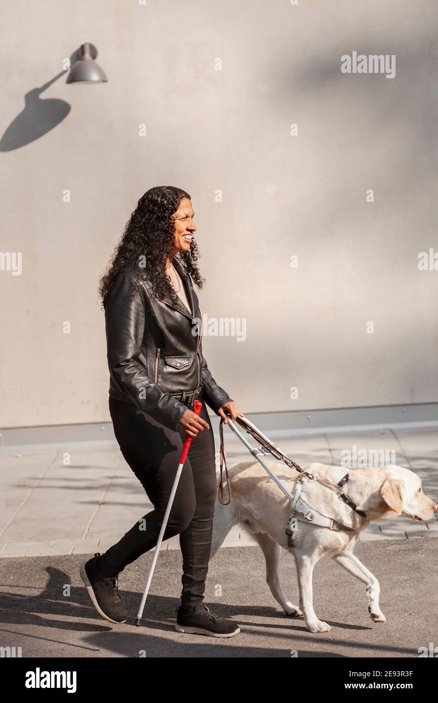 Visually impaired woman walking with guide dog Stock Photo - Alamy