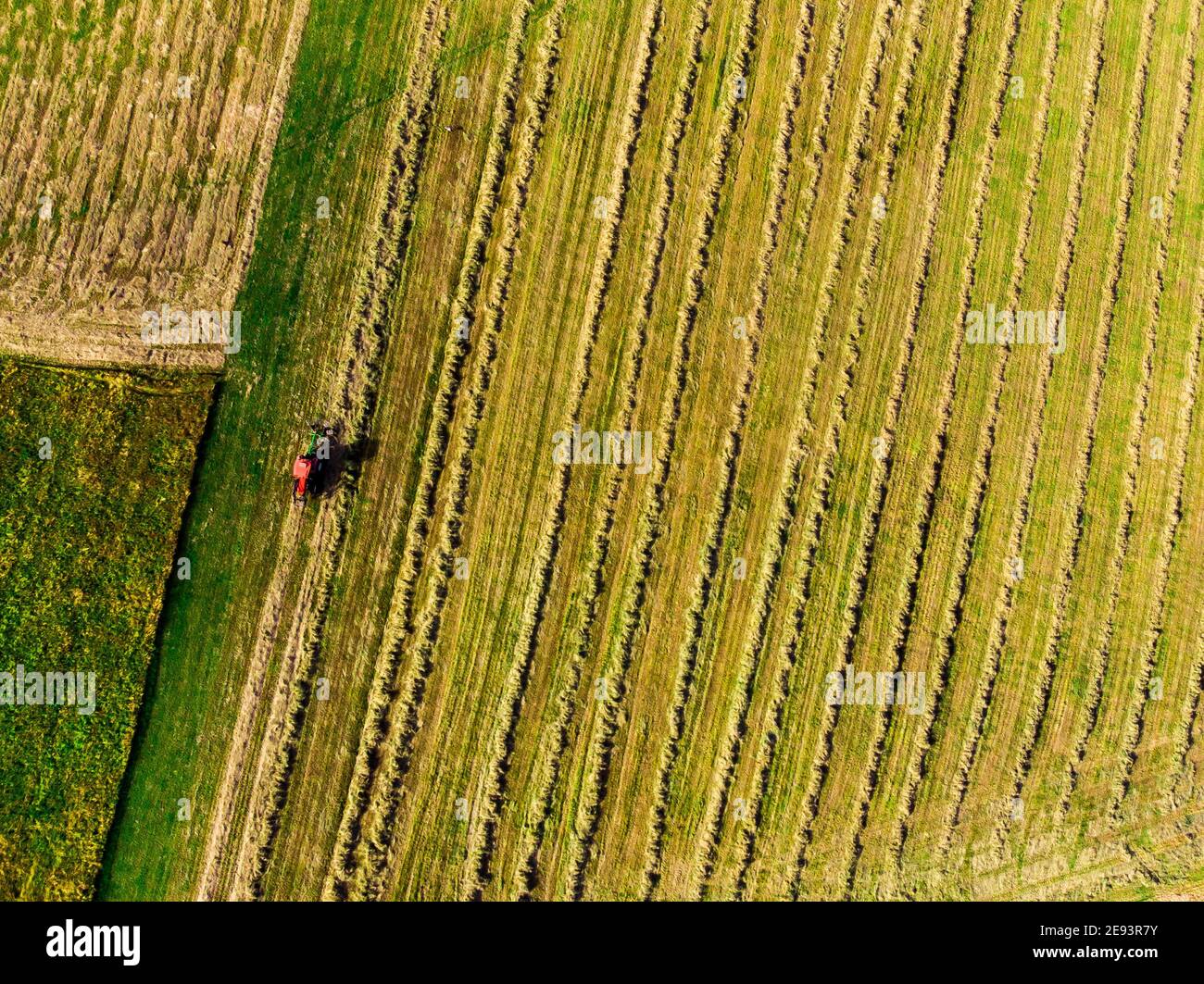 Making rows hi-res stock photography and images - Alamy