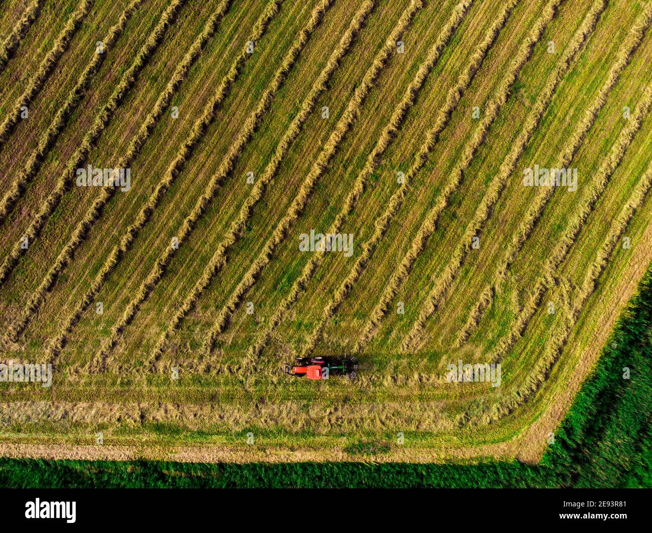 Plowing farm hi-res stock photography and images - Alamy