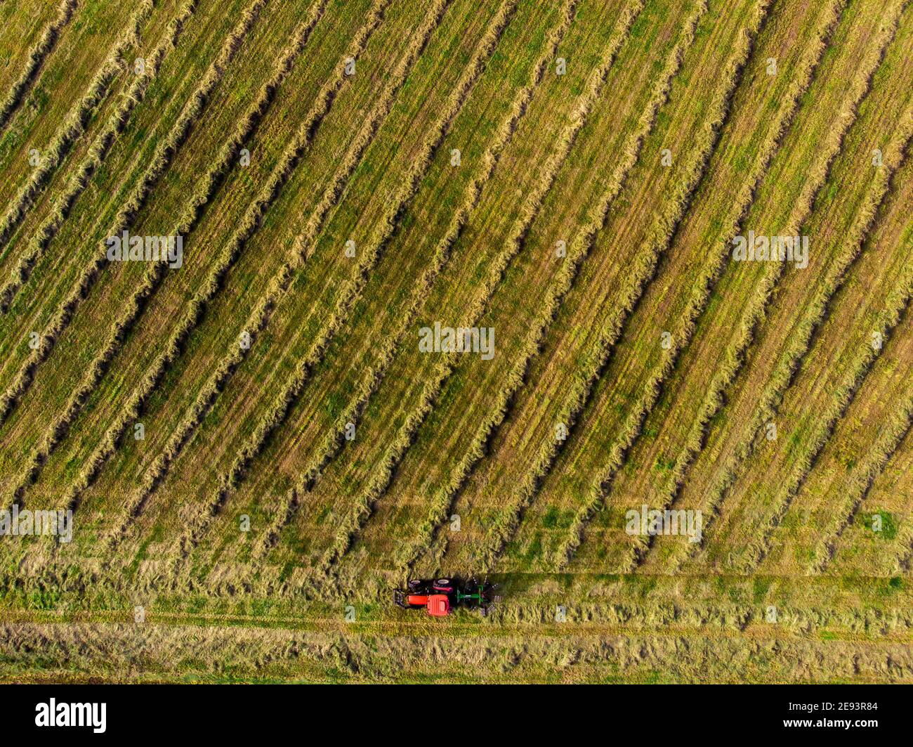 Tractor plowing farm yield and making rows Stock Photo - Alamy