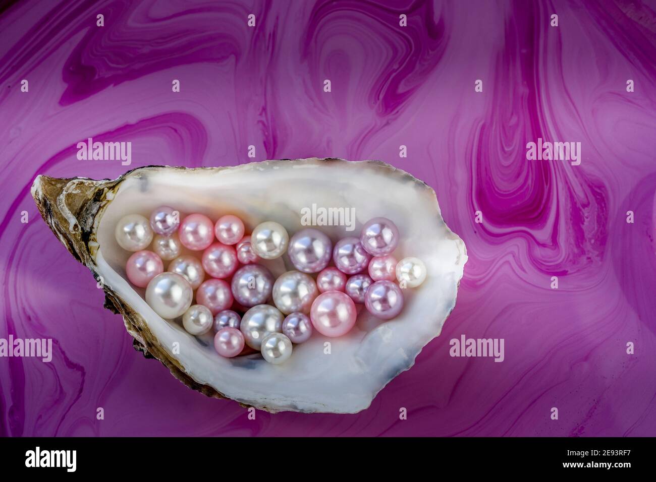 Artificial pearls inside the oyster shell. Different colors and size of ...