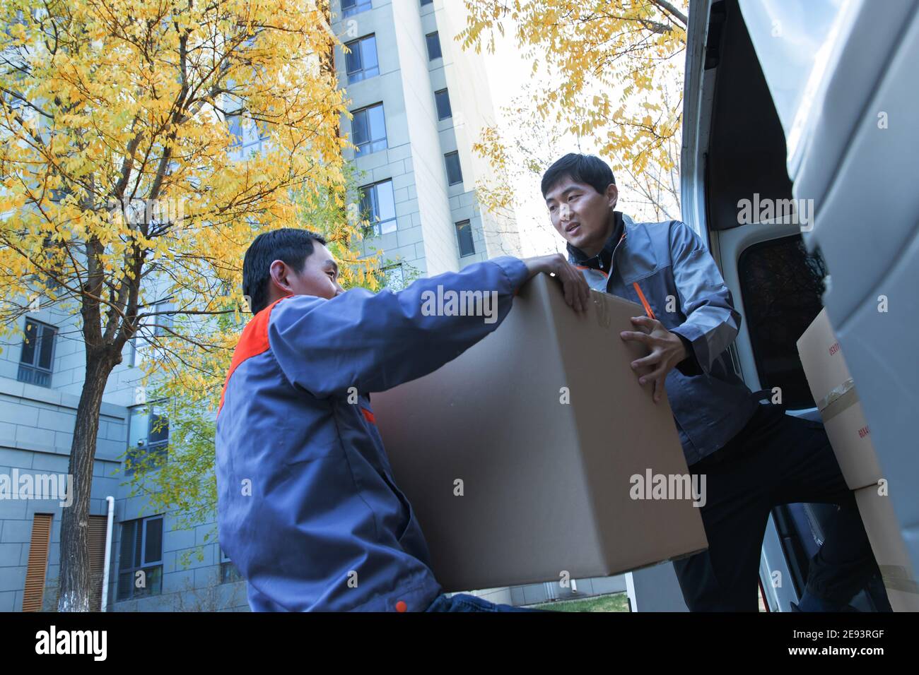 Logistics personnel handling the goods Stock Photo - Alamy