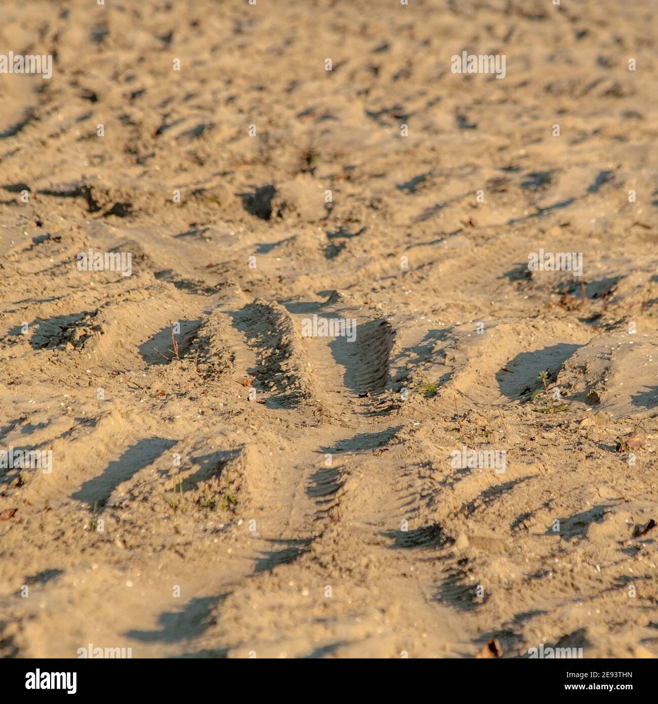 Bicycle tracks on the dry sand on the beach Stock Photo - Alamy