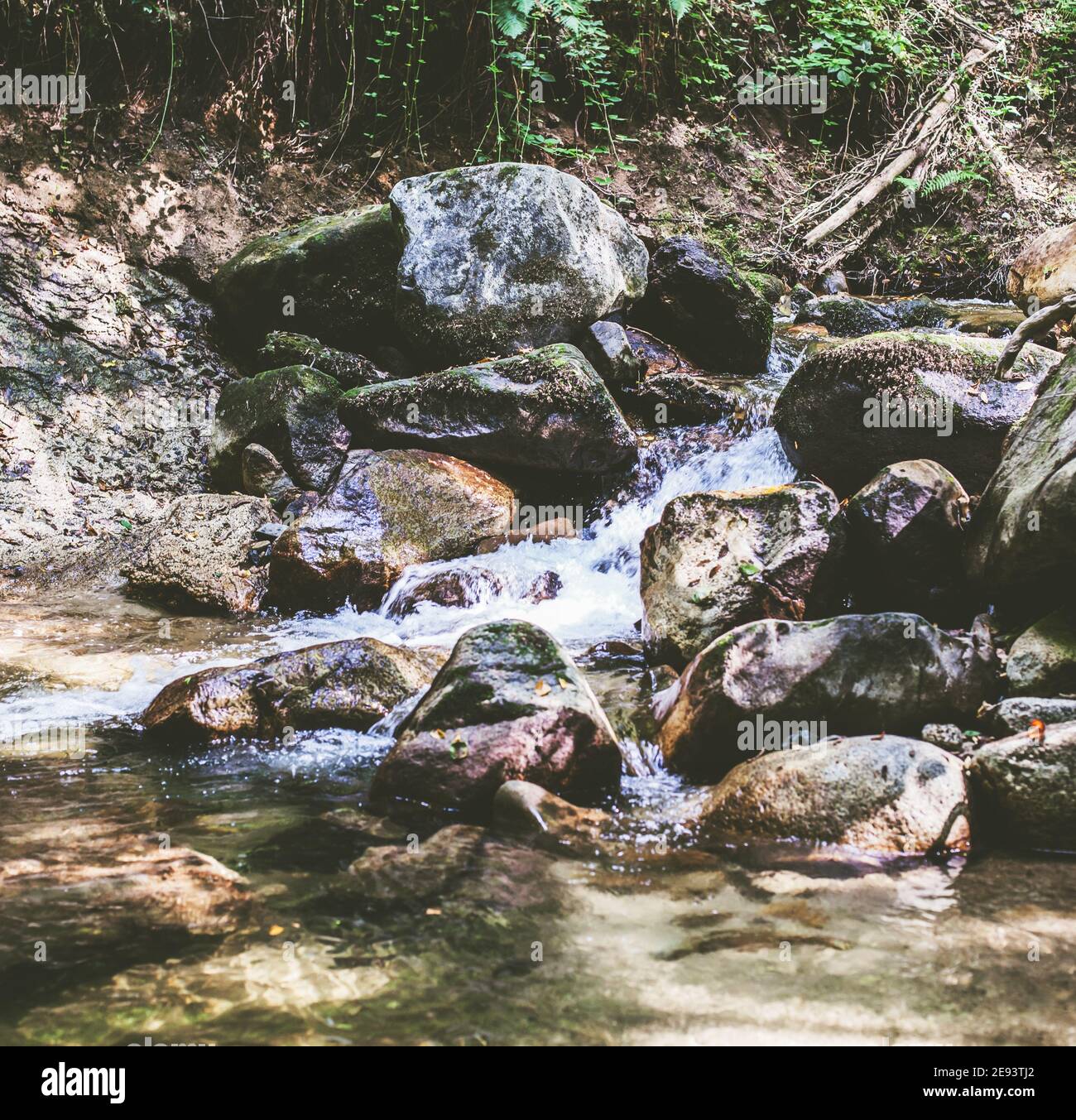 Mountain River Stream Through Summer Forest. Clear Water. Day In Nature ...