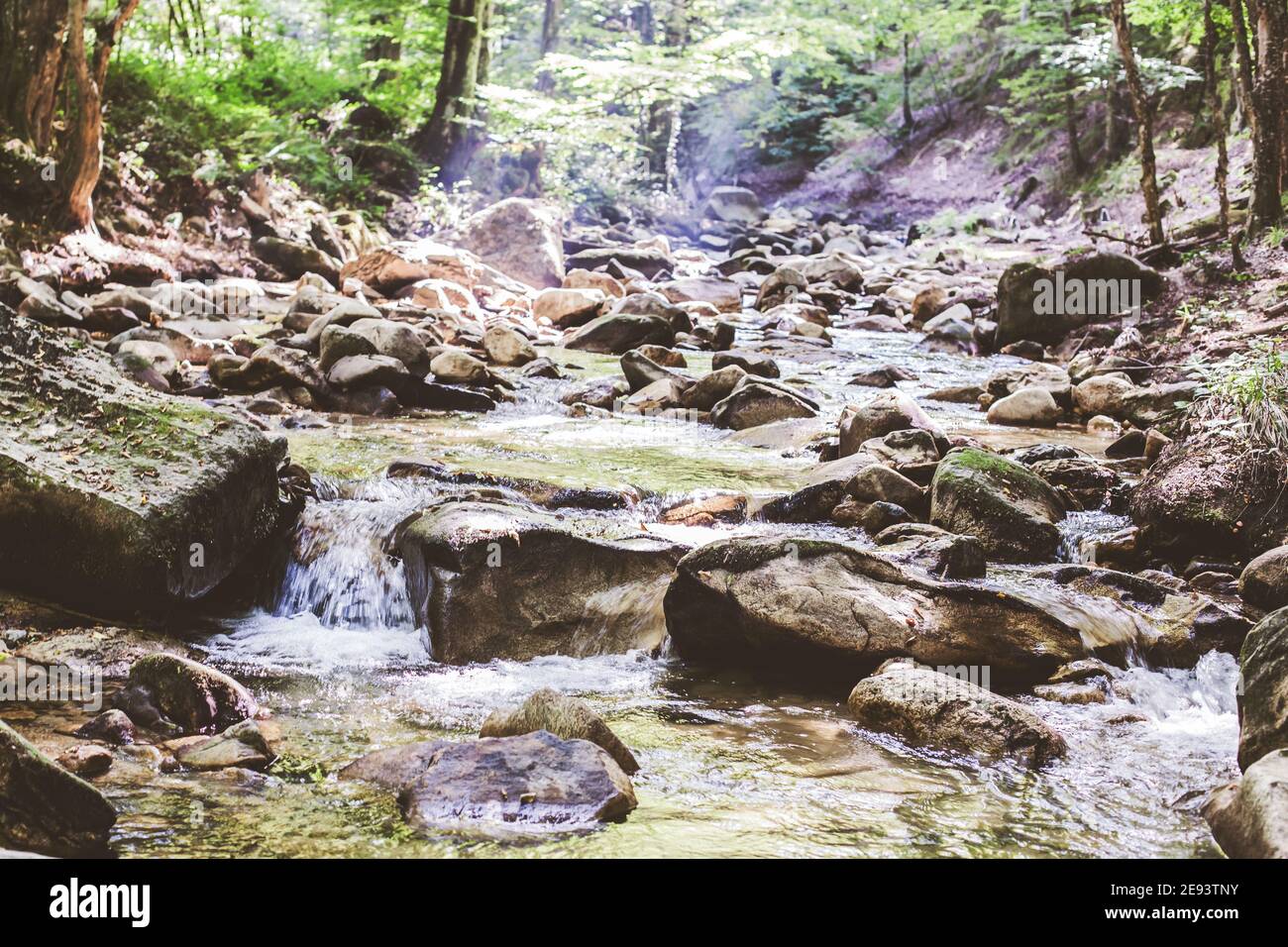 Mountain River Stream Through Summer Forest. Clear Water. Day In Nature ...