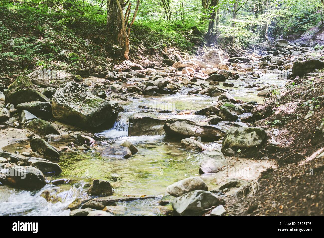 Mountain River Stream Through Summer Forest. Clear Water. Day In Nature ...