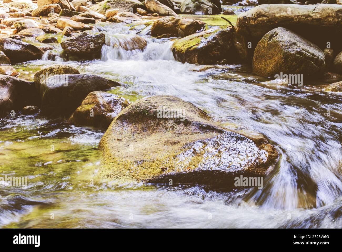 Mountain River Stream Through Summer Forest. Clear Water. Day In Nature ...