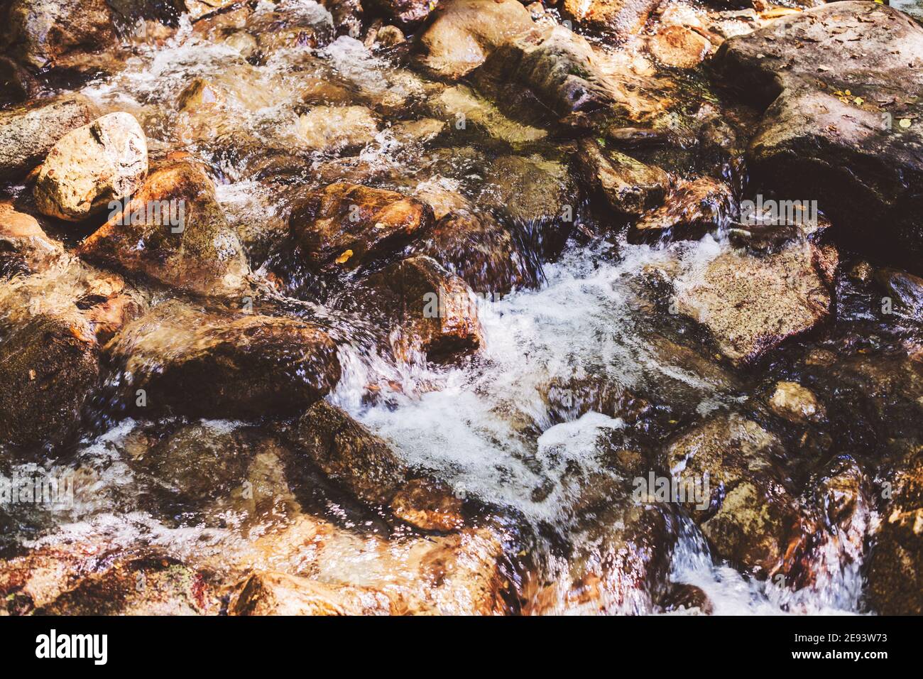 Mountain River Stream Through Summer Forest. Clear Water. Day In Nature ...