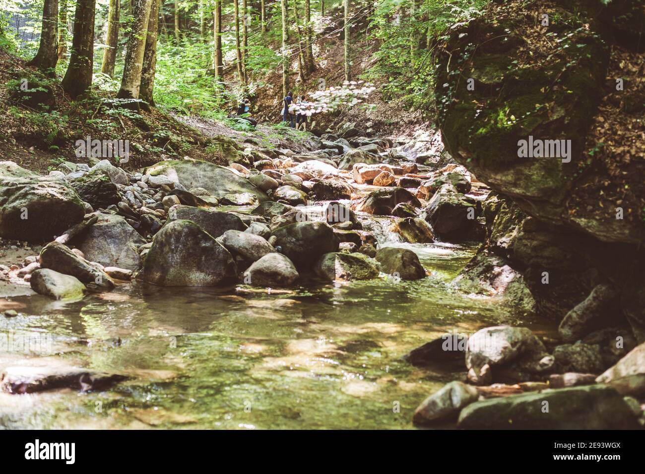 Mountain River Stream Through Summer Forest. Clear Water. Day In Nature ...