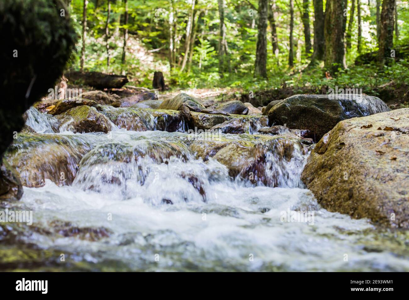 Mountain River Stream Through Summer Forest. Clear Water. Day In Nature ...