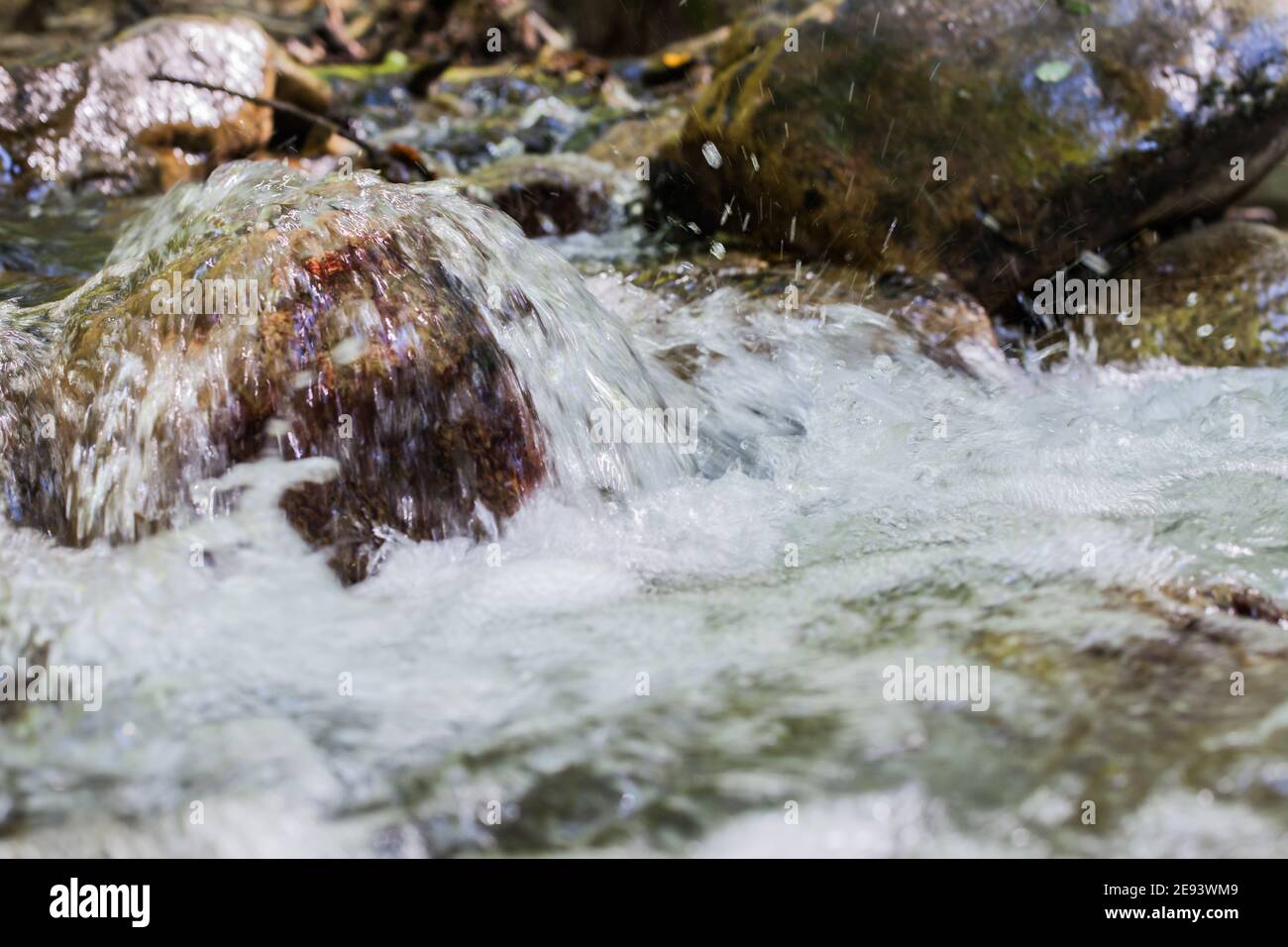 Mountain River Stream Through Summer Forest. Clear Water. Day In Nature ...