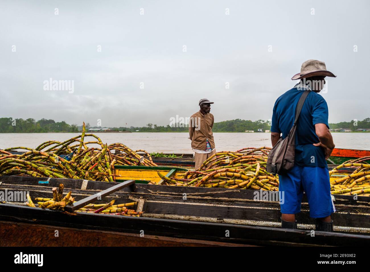 Afro-Colombian merchants observe piles of sugarcane loaded in wooden ...