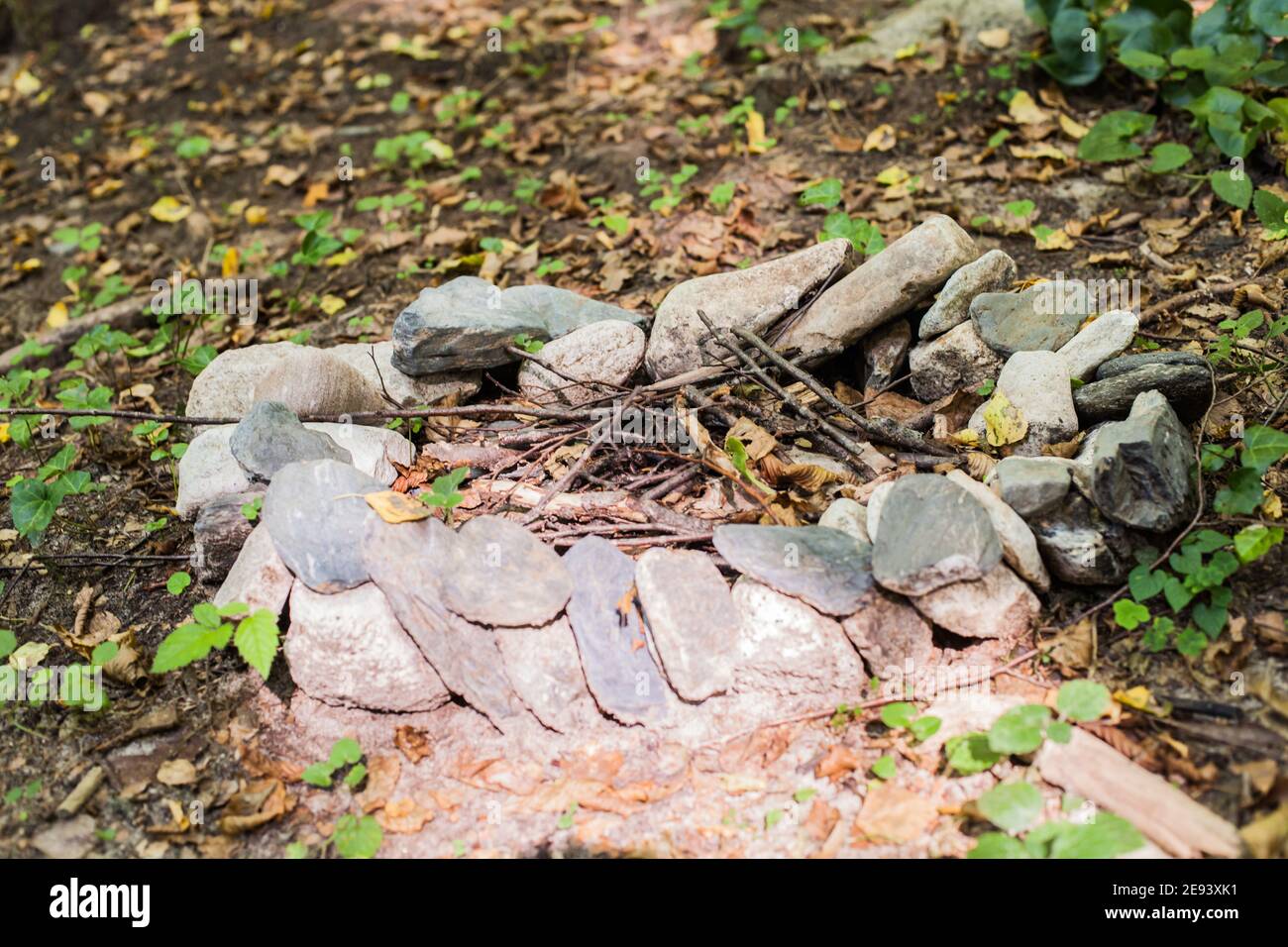 Ready for campfire at campsite in forest Stock Photo - Alamy