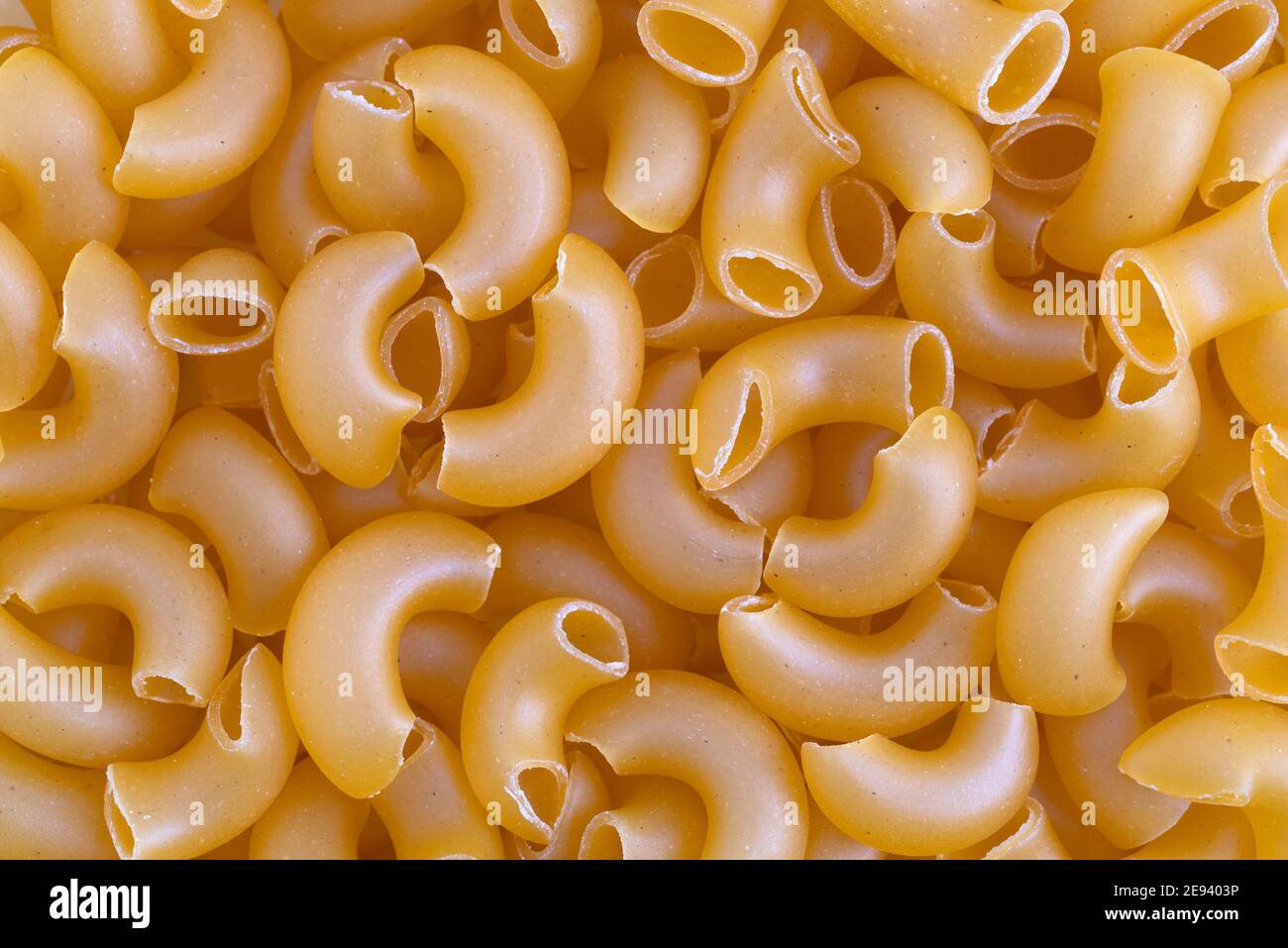Close view of organic elbow macaroni illuminated with natural light ...