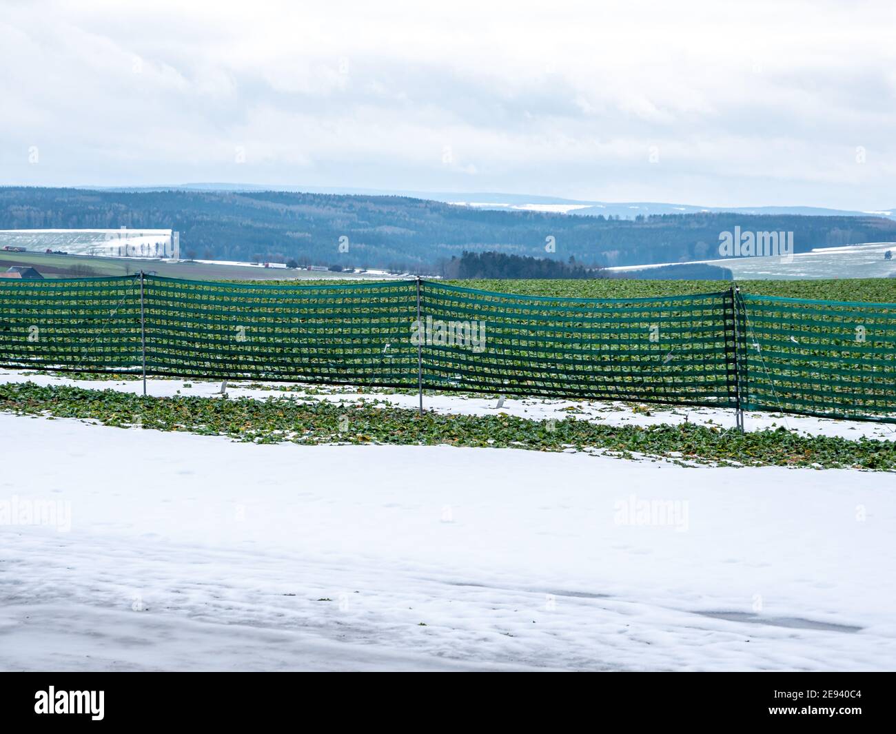 Snow safety fence for road traffic in winter Stock Photo - Alamy