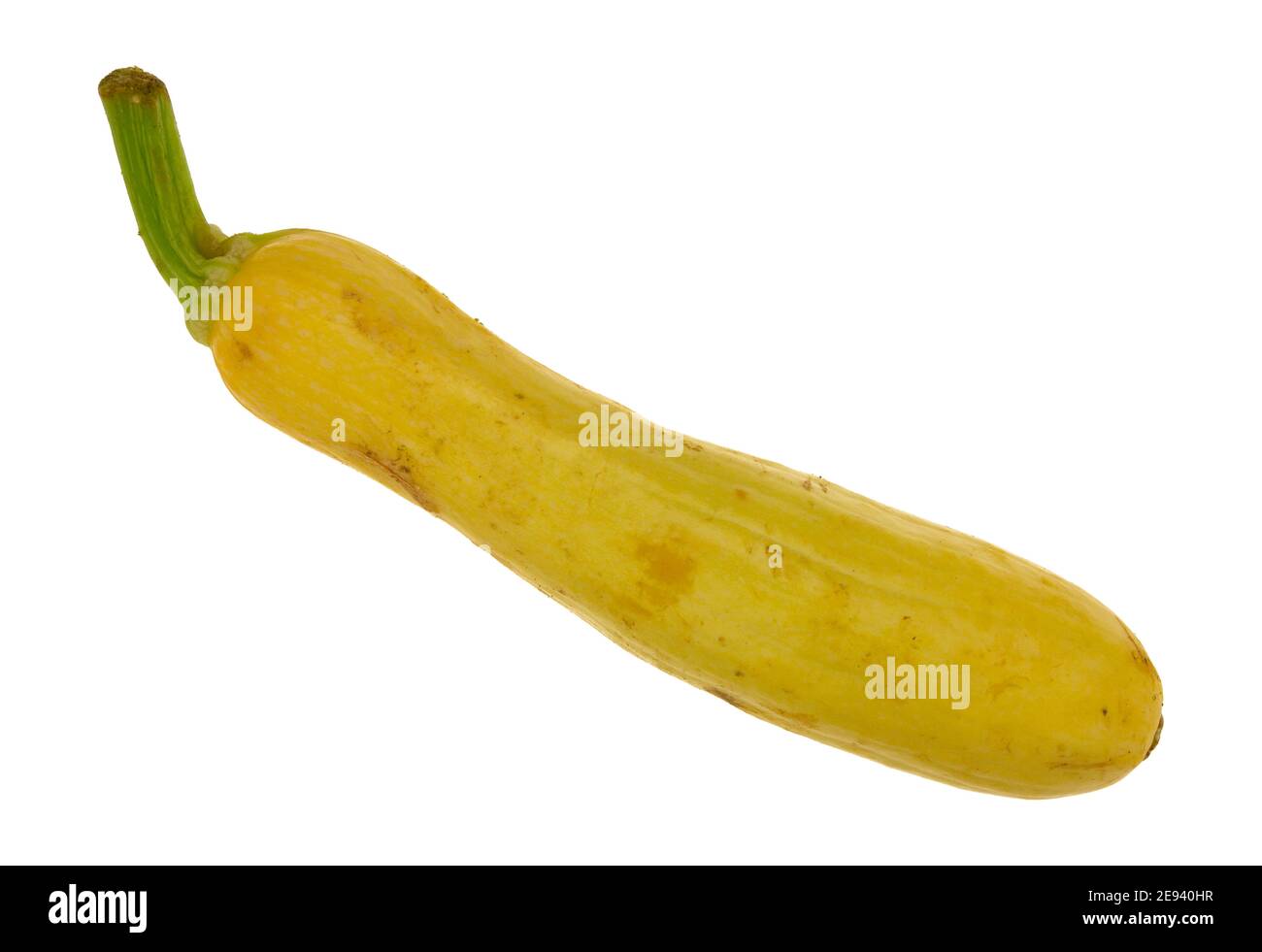 Top view of a single home garden grown yellow summer squash isolated on ...