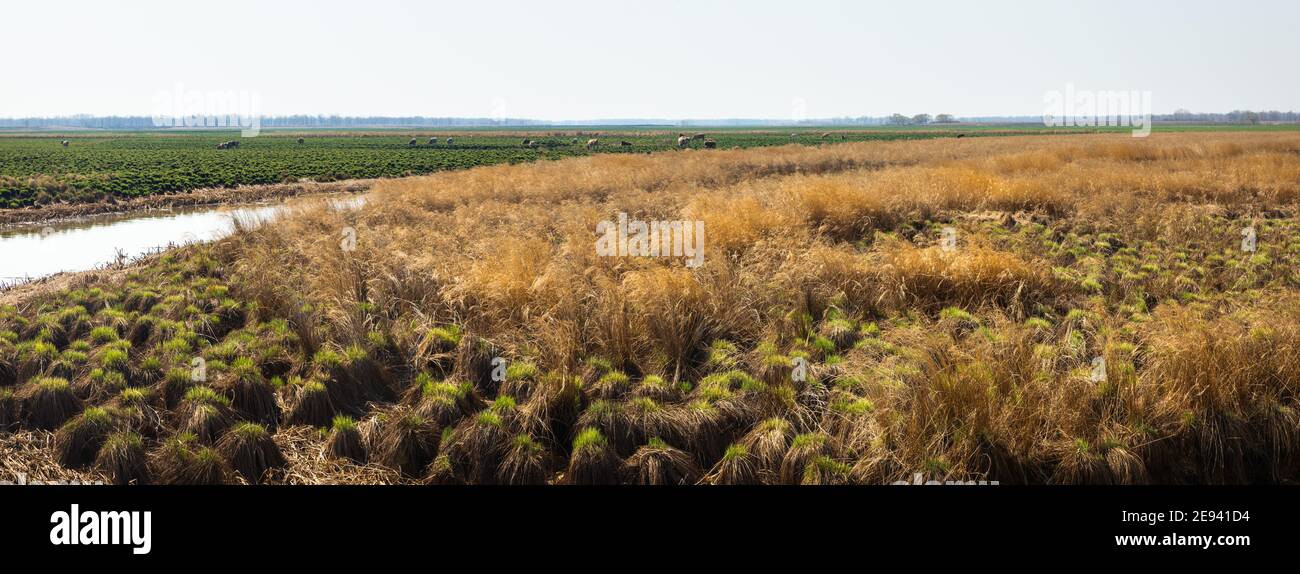 Qingshuihe county hi-res stock photography and images - Alamy