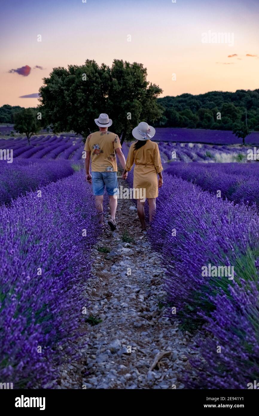 Lavender fields in Ardeche in southeast France. Europe, couple walking ...
